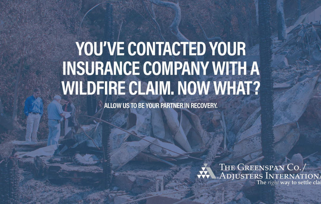 Understanding Your Wildfire Property Damage