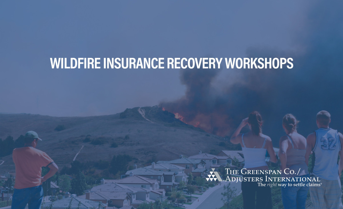 Damage From Wildfires — Join the Greenspan Co. Camp Fire Workshop